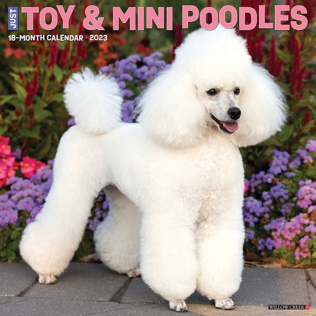 Just Toy & Miniature Poodles 2023 Wall Calendar (Other) - Walmart.com