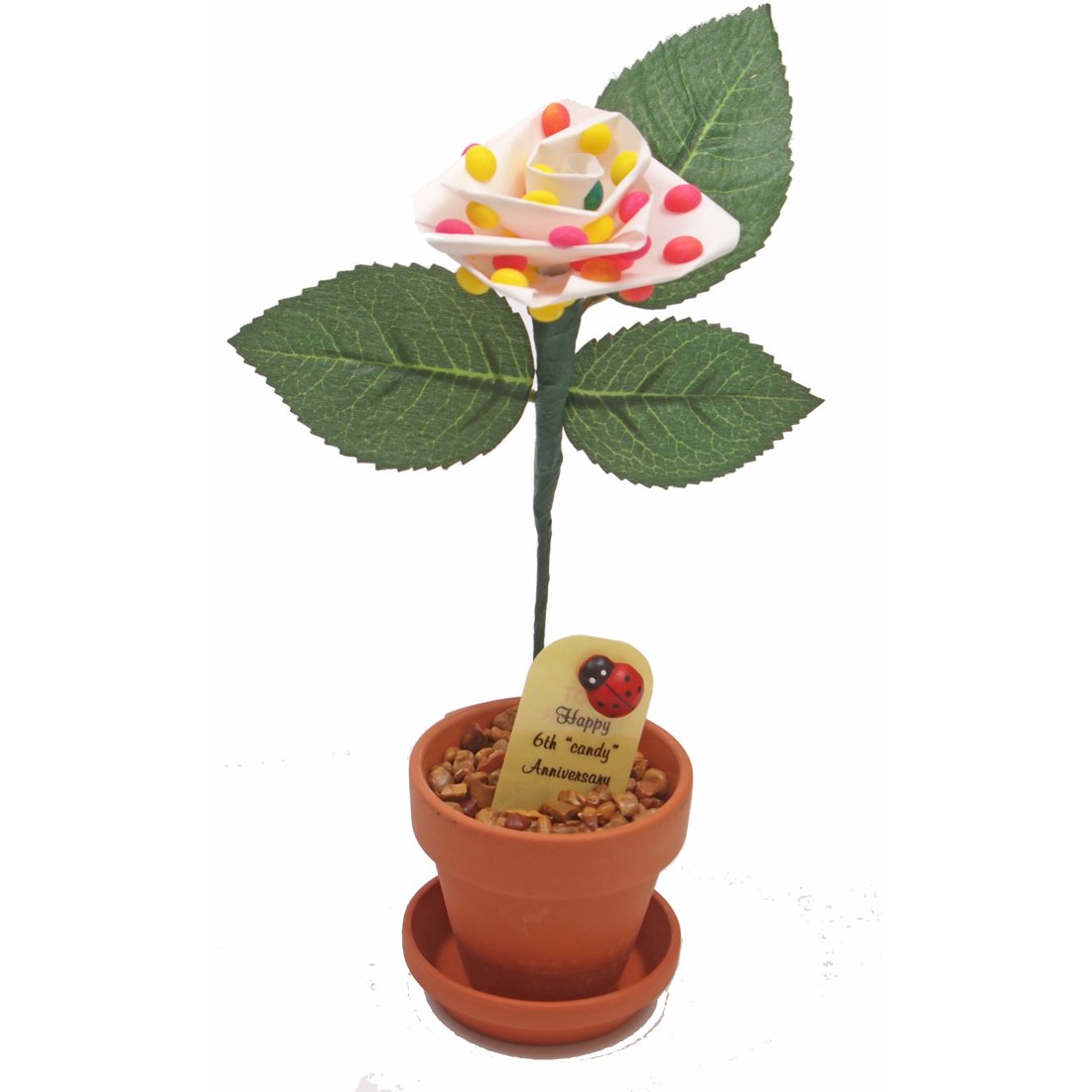 JustPaperRoses - 6th Wedding Anniversary Candy Rose - Multicolor - 7 ...