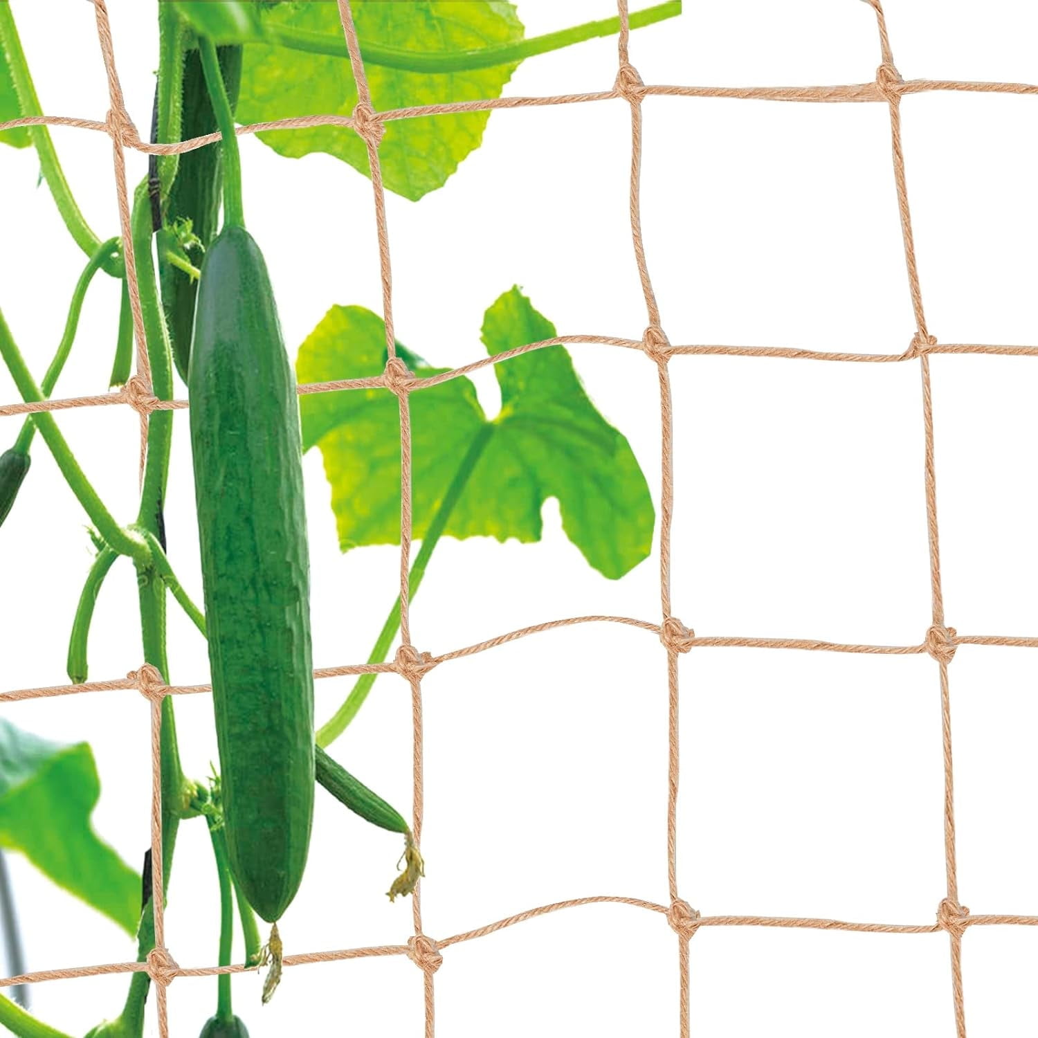 Jute Twine Trellis Netting Climbing Plant Scheam Support Net for Garden ...