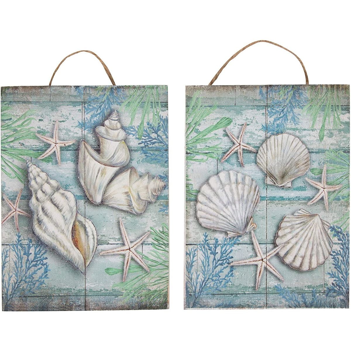 Sea Shell Wall Decor