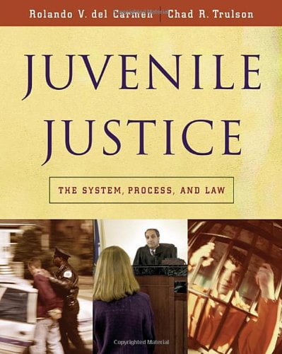Pre-Owned Juvenile Justice: The System, Process and Law (Available ...