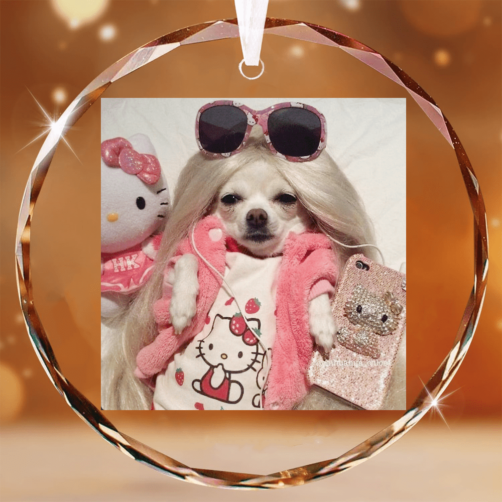Juxt Chihuahua Dog Meme Ornament Paris Hilton Inspired Sassy Pet Owner ...