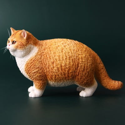 Jxk1/6 Fat Cat Model Simulation Cat Hand-Made Internet Celebrity Fat ...