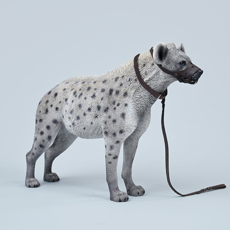 Jxk16 African Hyena Model Simulation Grass Protozoan Peripheral Desktop ...