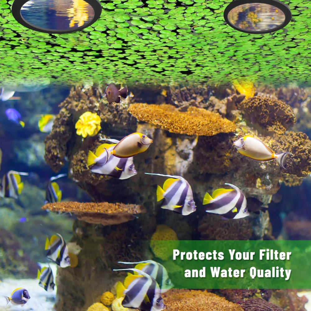 Jzenzero EVA Floating Foam Ring Set Floating Water Plants Fixing ...