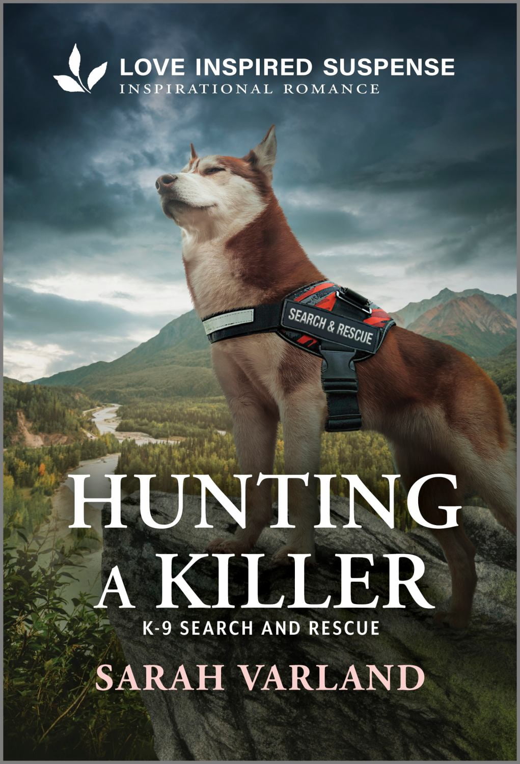 Hunting a Killer (Paperback) - Walmart.com