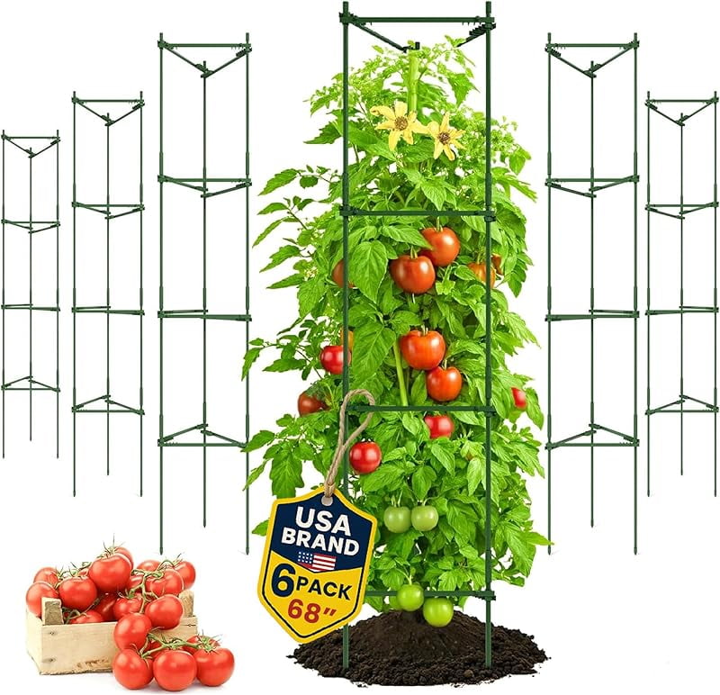 K-Brands Tomato Cage - Tomatoes Plant Stakes Support Cages Trellis for Garden and Pots (3 Pack ...