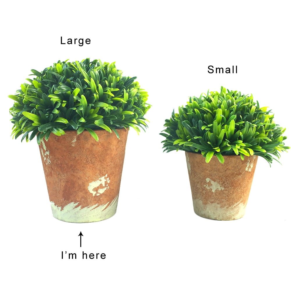 K-Cliffs Mini Artificial Grass Plant 6.3H in Whitewashed Paper Pulp Pot ...