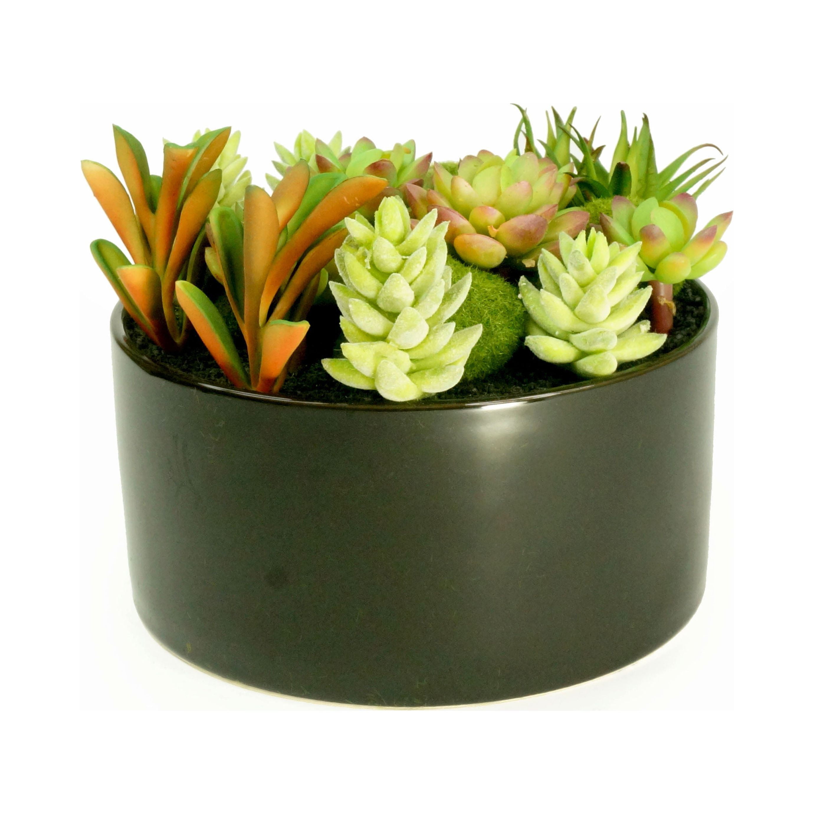 K-Cliffs Large Round Ceramic Minimalistic Faux Succulent Planter with ...