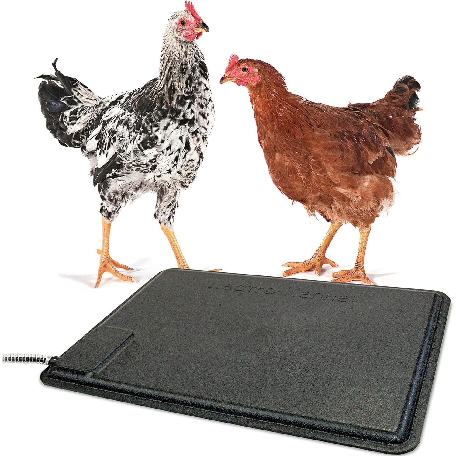 Chicken Heat Pad