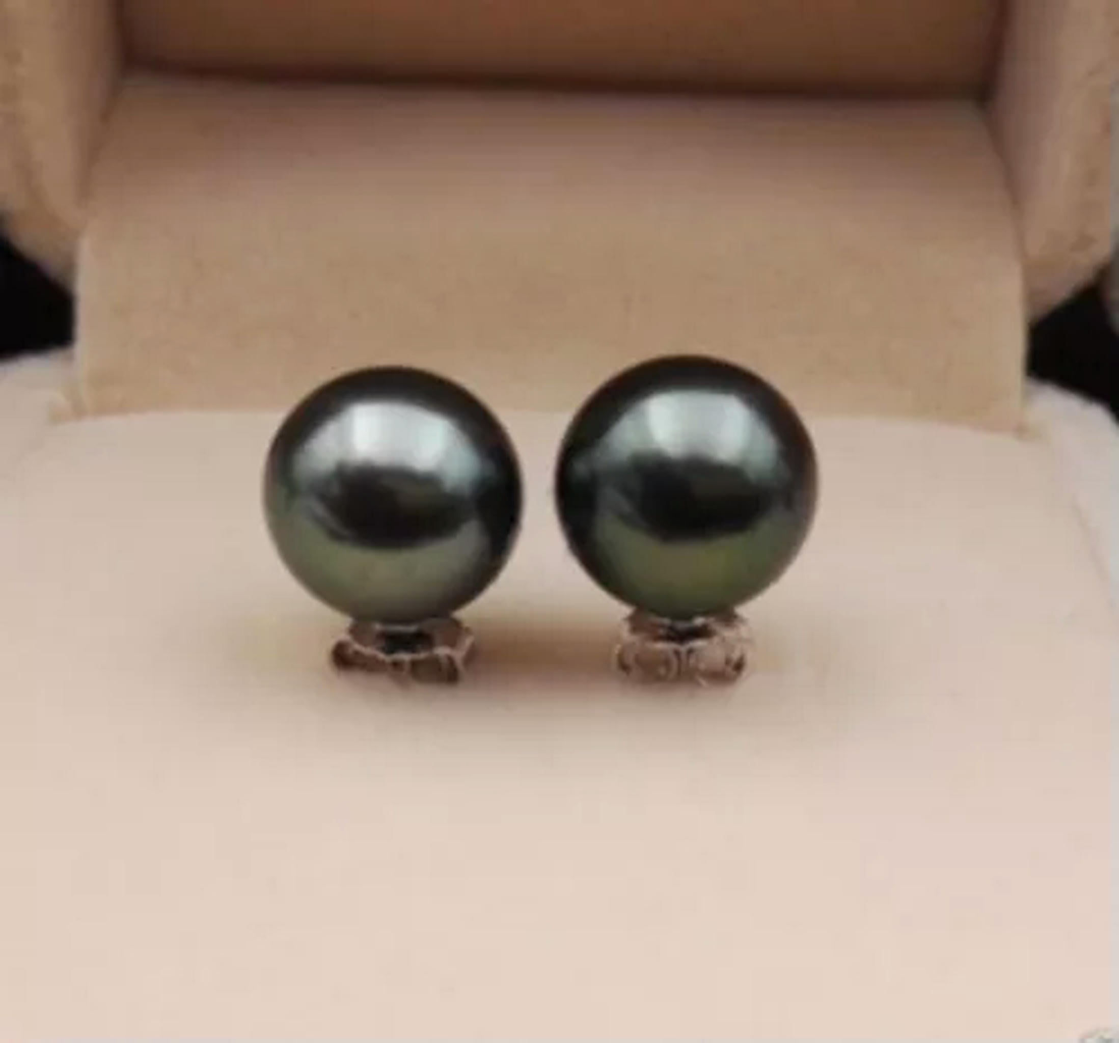 K-KED 10/12mm AAA+ Black South Sea Shell Pearl Silver Stud Earrings-12 ...