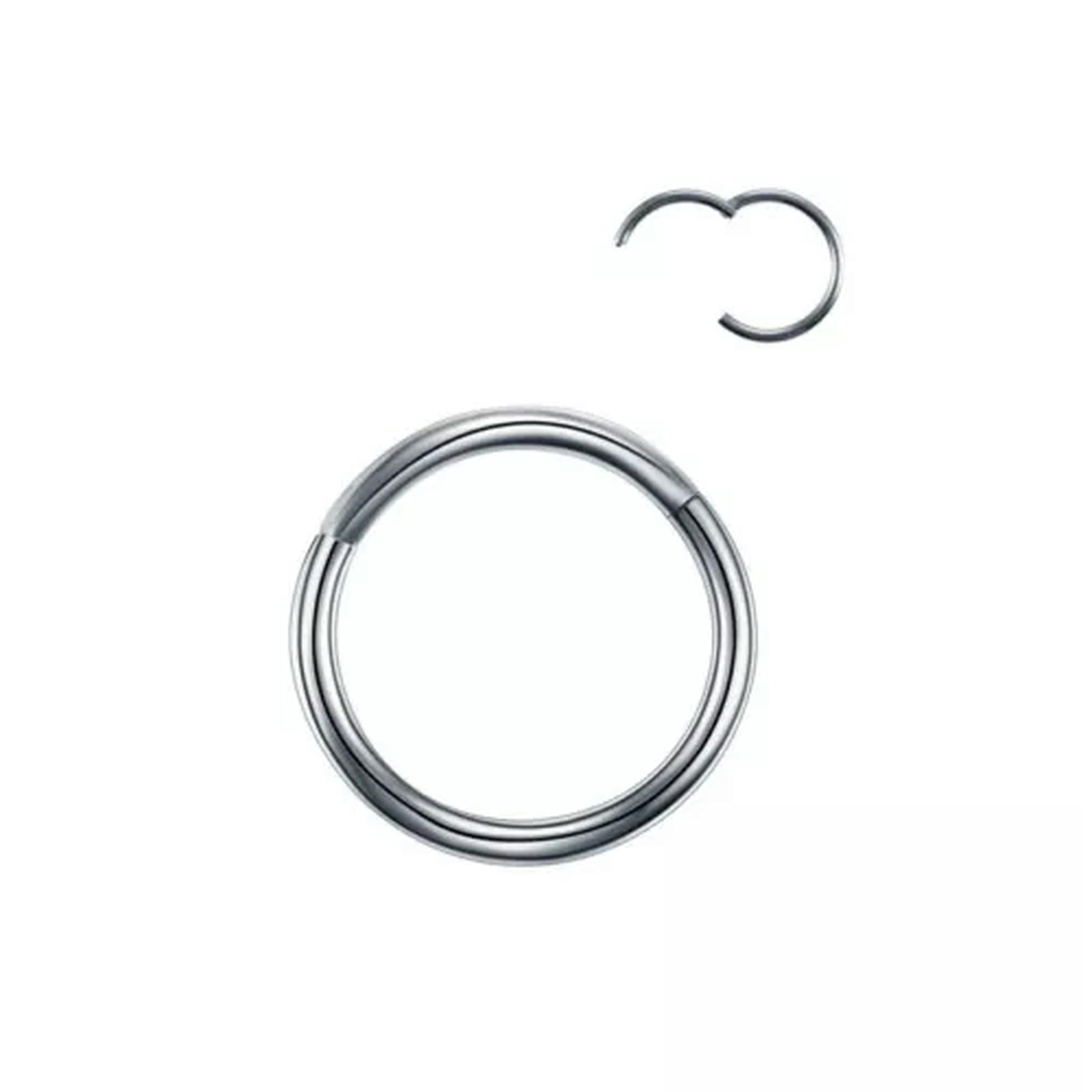 K-KED 2PCS Stainless Steel Nose Lip Ear Ring Hinged Septum Clicker Hoop ...