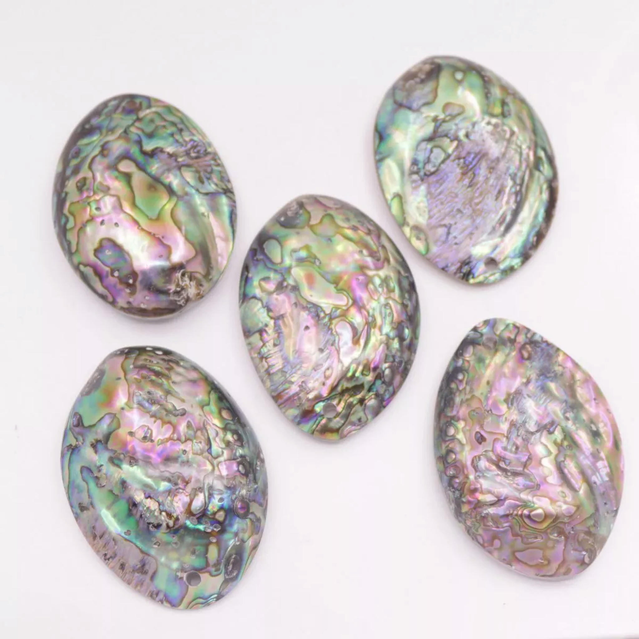 K-KED 5 PCS 50-55mm Oval Abalone Natural Green Rainbow Paua Shell ...