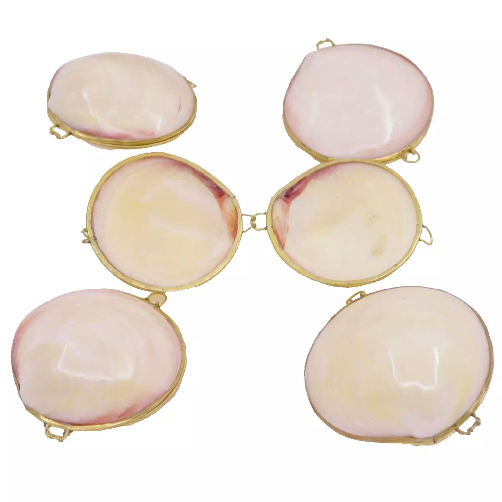 K-KED 5 PCS 60mm-75mm Clam Shell Box Natural White Mother of Pearl ...