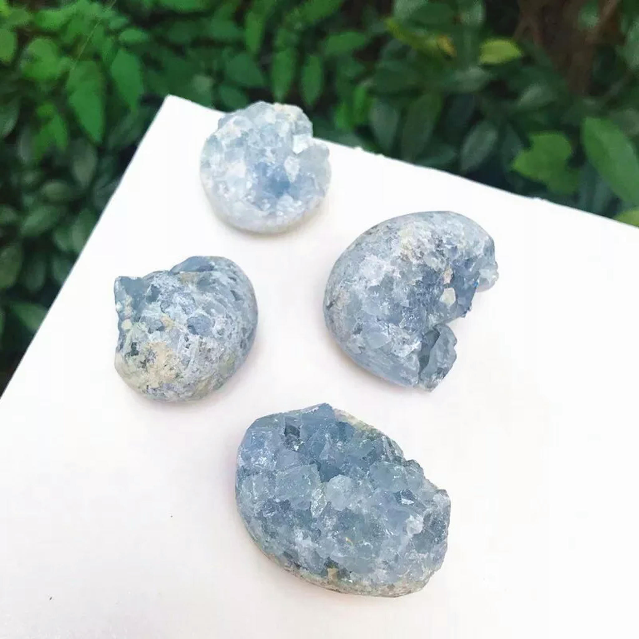 K-KED 50-70g Natural Celestite Cluster Raw Blue Mineral Quartz Crystal ...