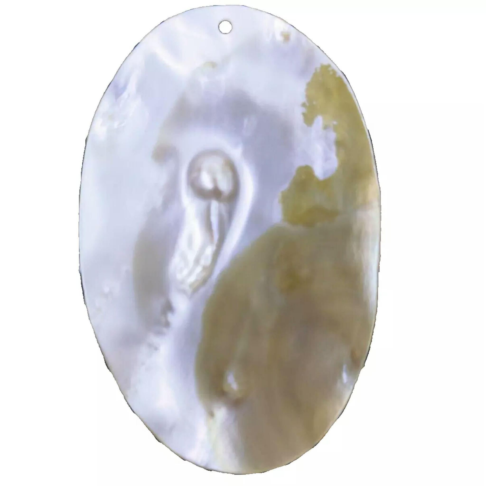 K-KED Natural Shell Clam Display Mother of Pearl 4cmX6cm Collection 2. ...