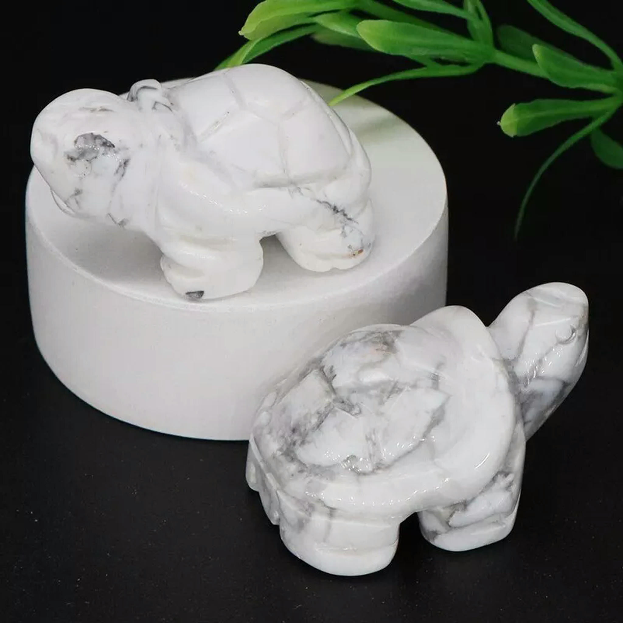 K-KED Natural White Howlite Turquoise Quartz Carved Turtle Crystal ...