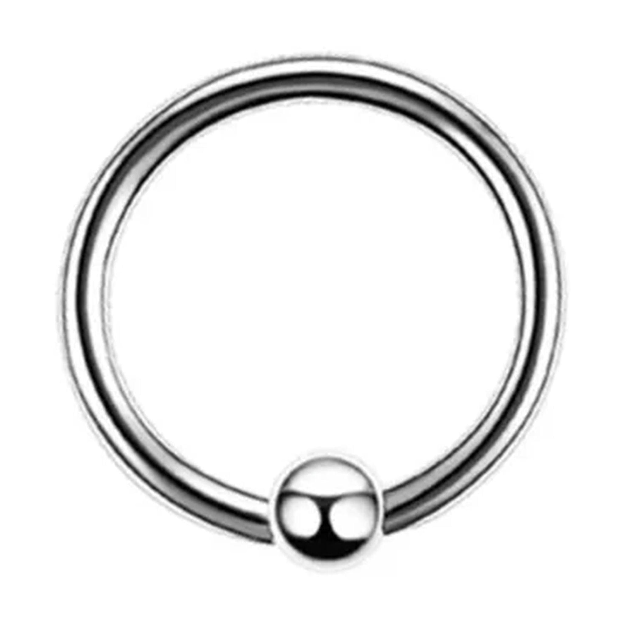 K-KED Surgical Steel Nose Ring Septum Clicker Hinge Segment Ear Helix ...