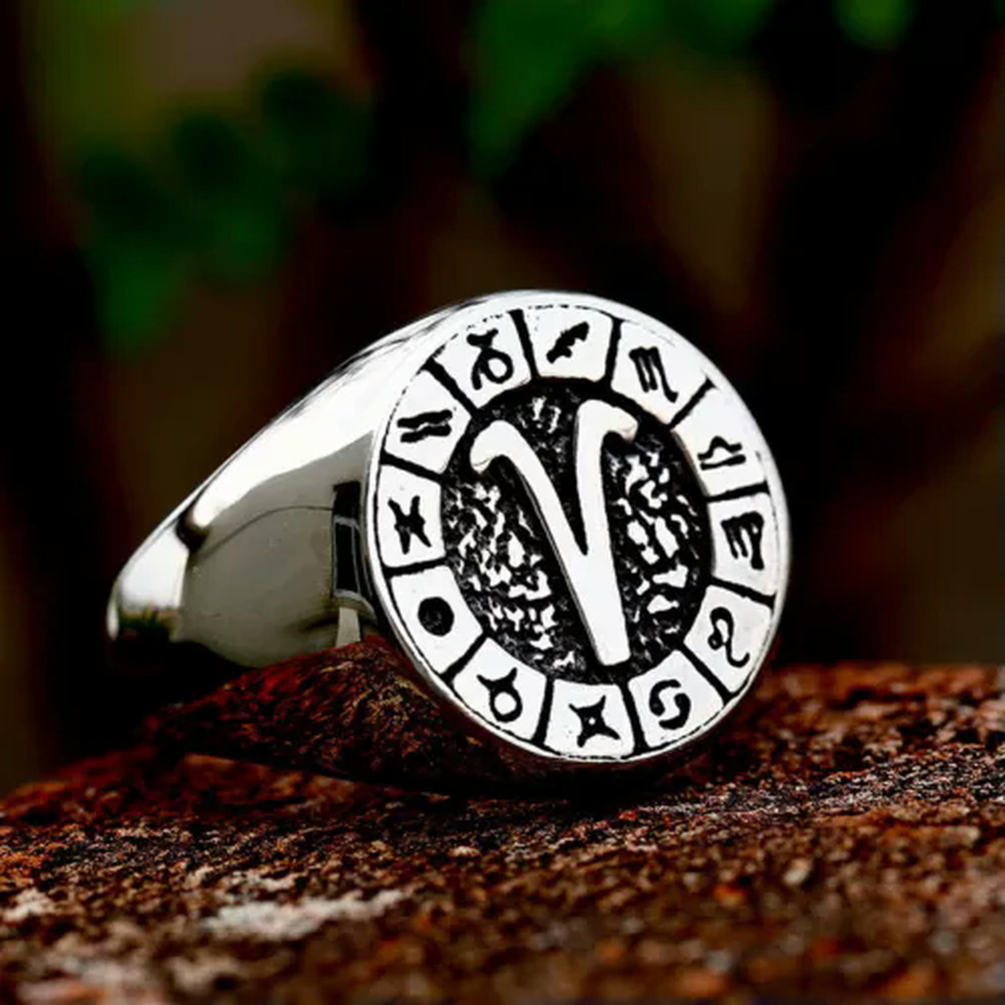 K-KED Twelve Signs Of The Zodiac Constellation Ring Stainless Steel ...