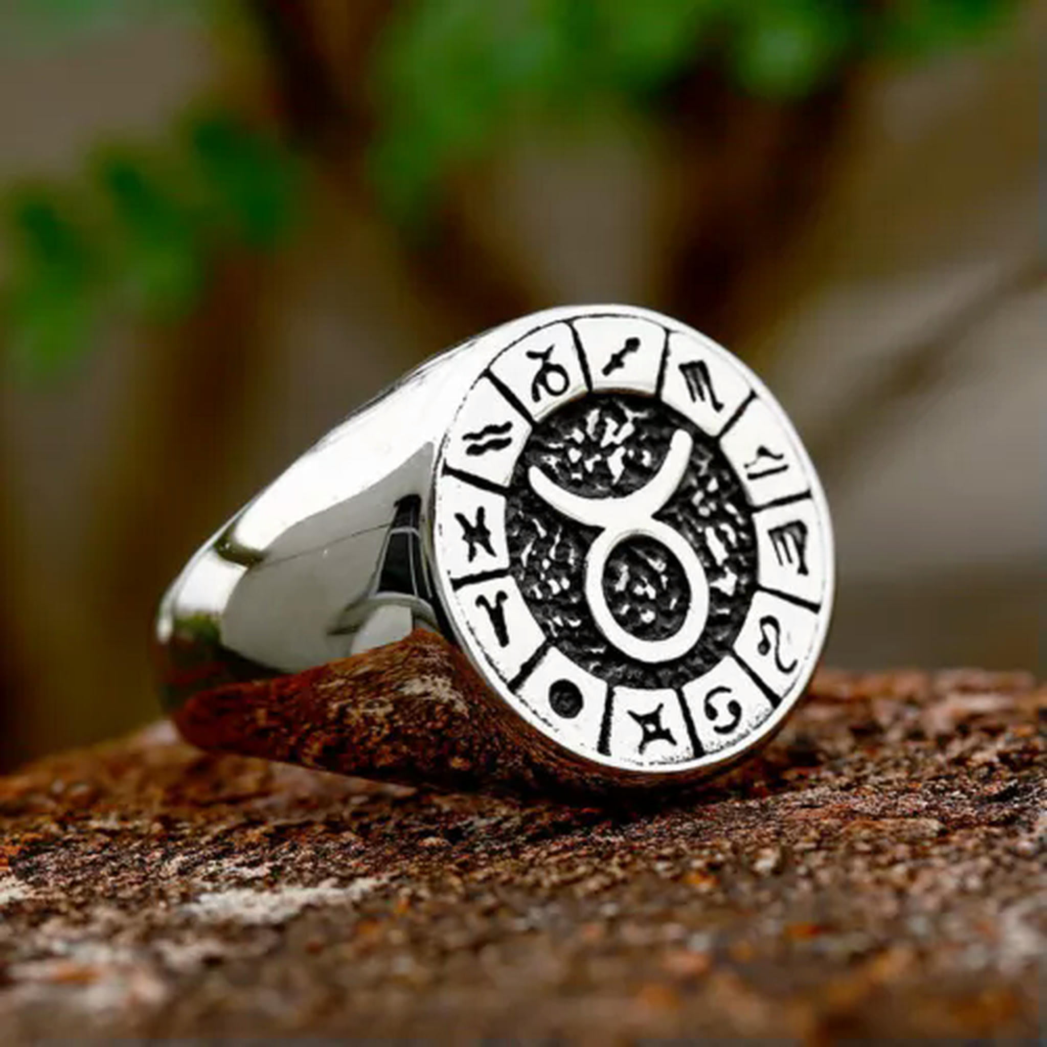 K-KED Twelve Signs Of The Zodiac Constellation Ring Stainless Steel ...