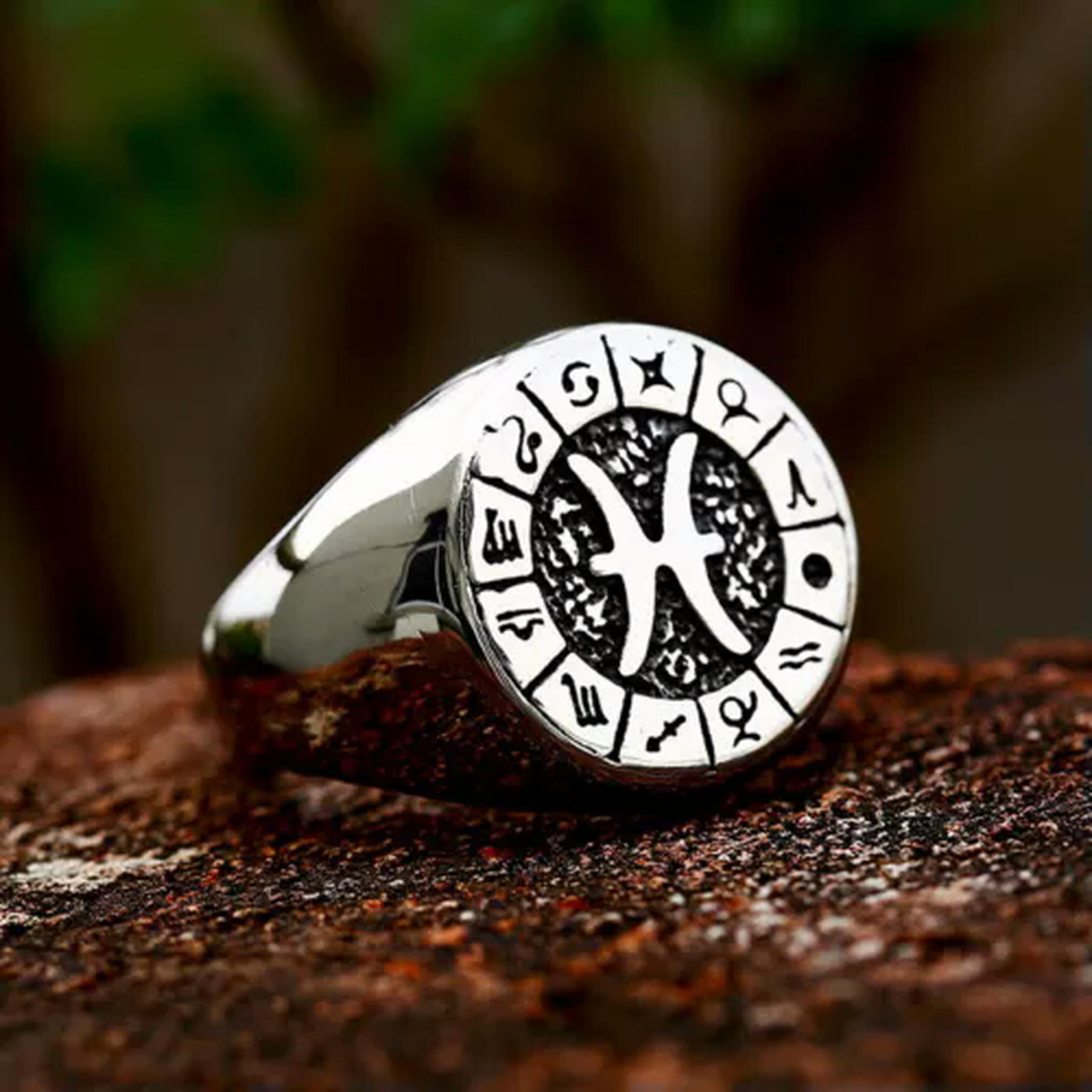 K-KED Twelve Signs Of The Zodiac Constellation Ring Stainless Steel ...