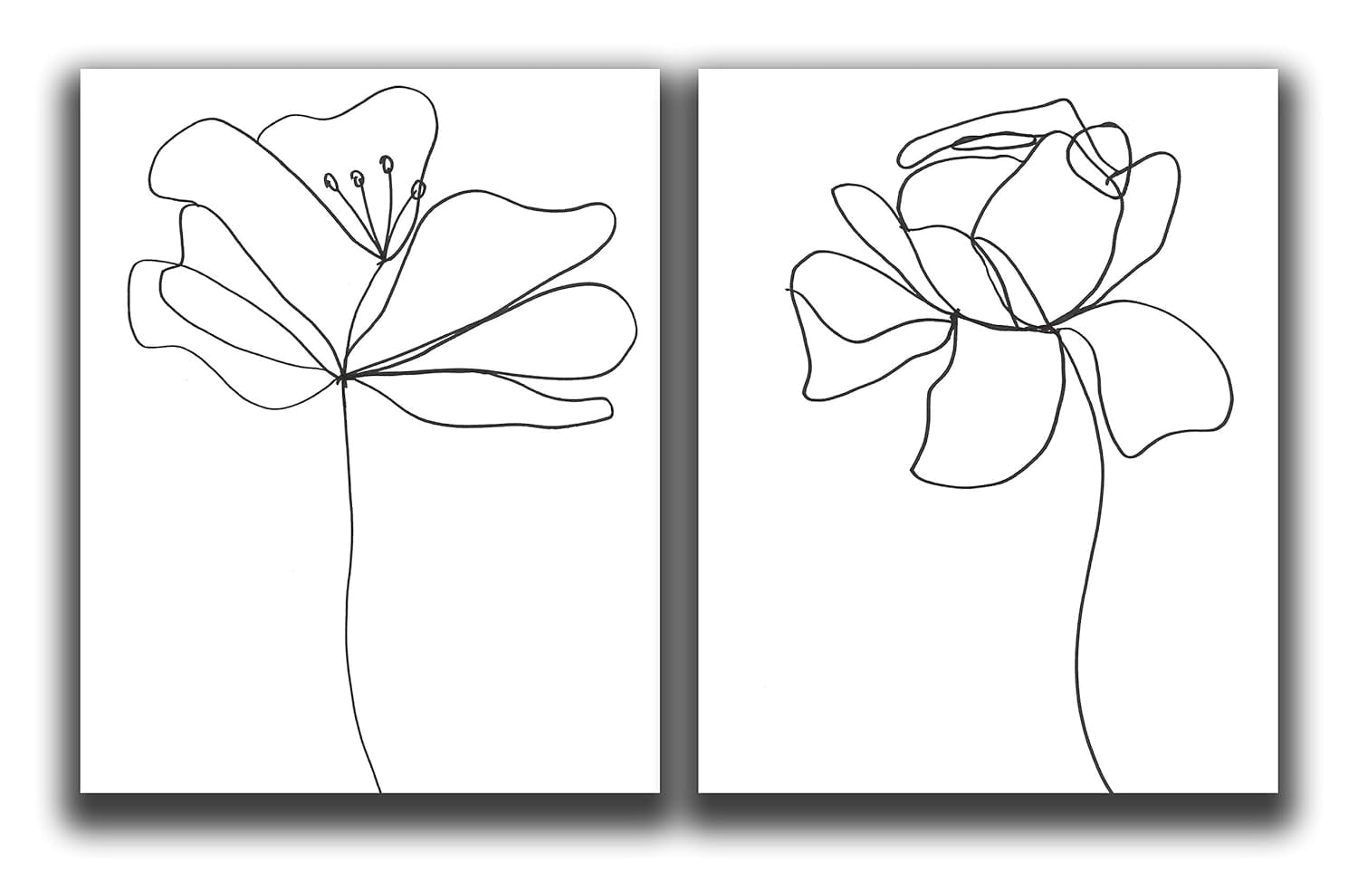 K&L Design Co: Line Art Wall Decor - 8x10" Wall Art Unframed Set of 2 ...