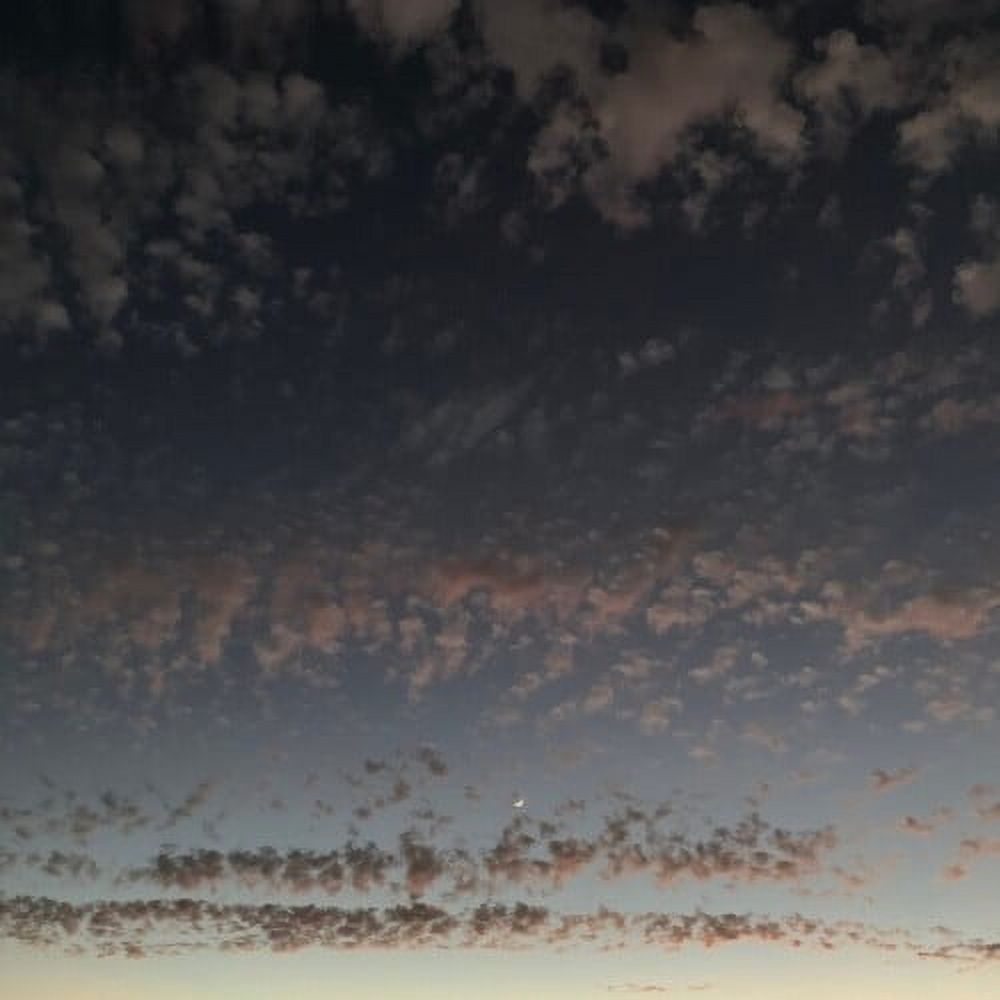 K. Leimer - Found Objects - Rock - CD - Walmart.com