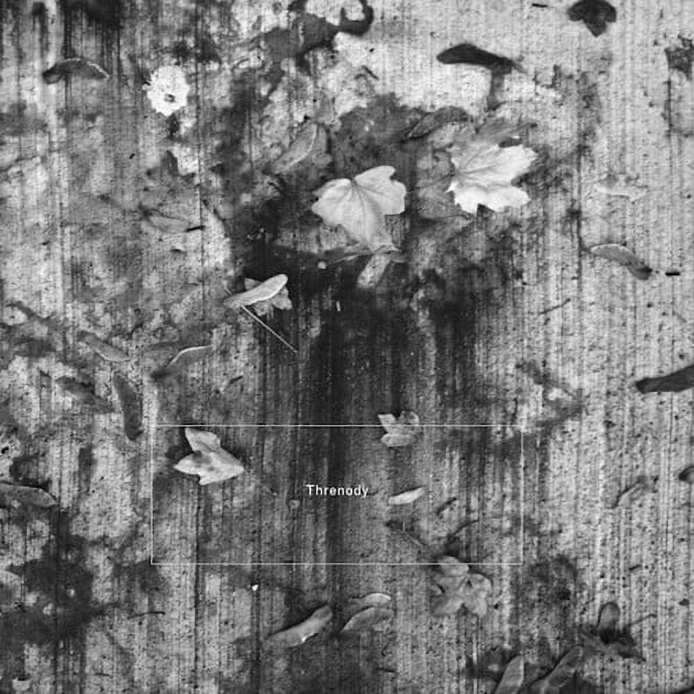 K. Leimer - Threnody - Music & Performance - CD - Walmart.com