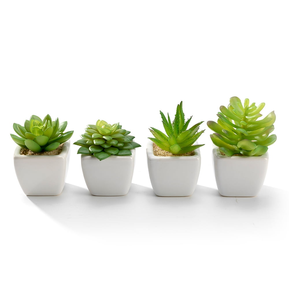 K-cliffs Mini Artificial Succulent Plants Potted in White Ceramic Pots ...