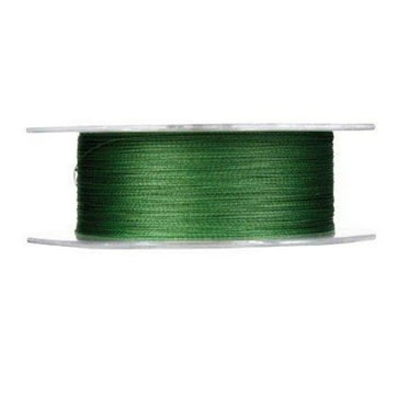 Beyond Braid Blue Wave 300 yards 8lb - Walmart.com