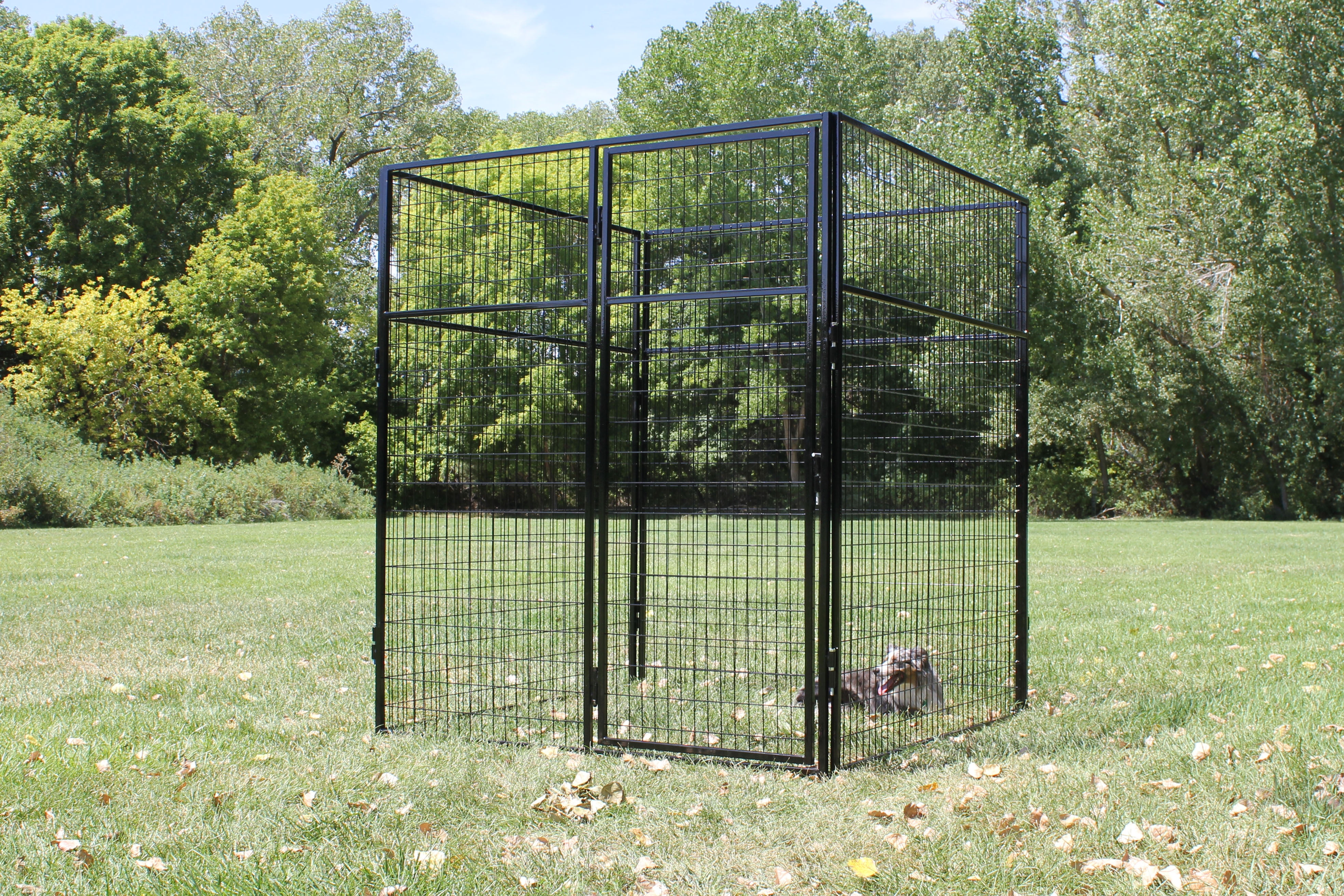 K9 Kennel Store 7' Tall 8’ X 8’ Welded Wire Basic Dog Kennel System ...