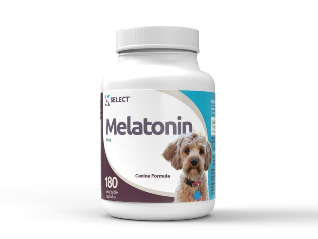 K9 Select Melatonin for Dogs 1 mg - 180 Vegetable Capsules - Dog ...
