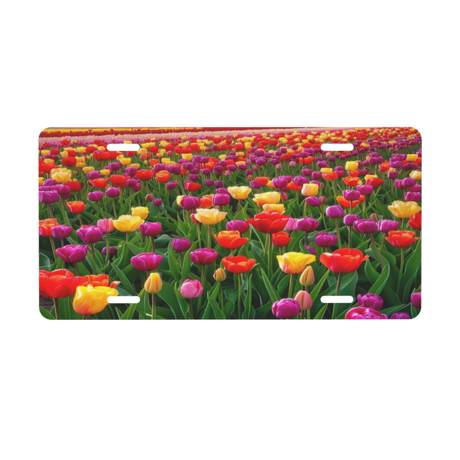 KAKALAD Red Purple And Yellow Tulip Fields 03 Aluminum Car Vehicles ...