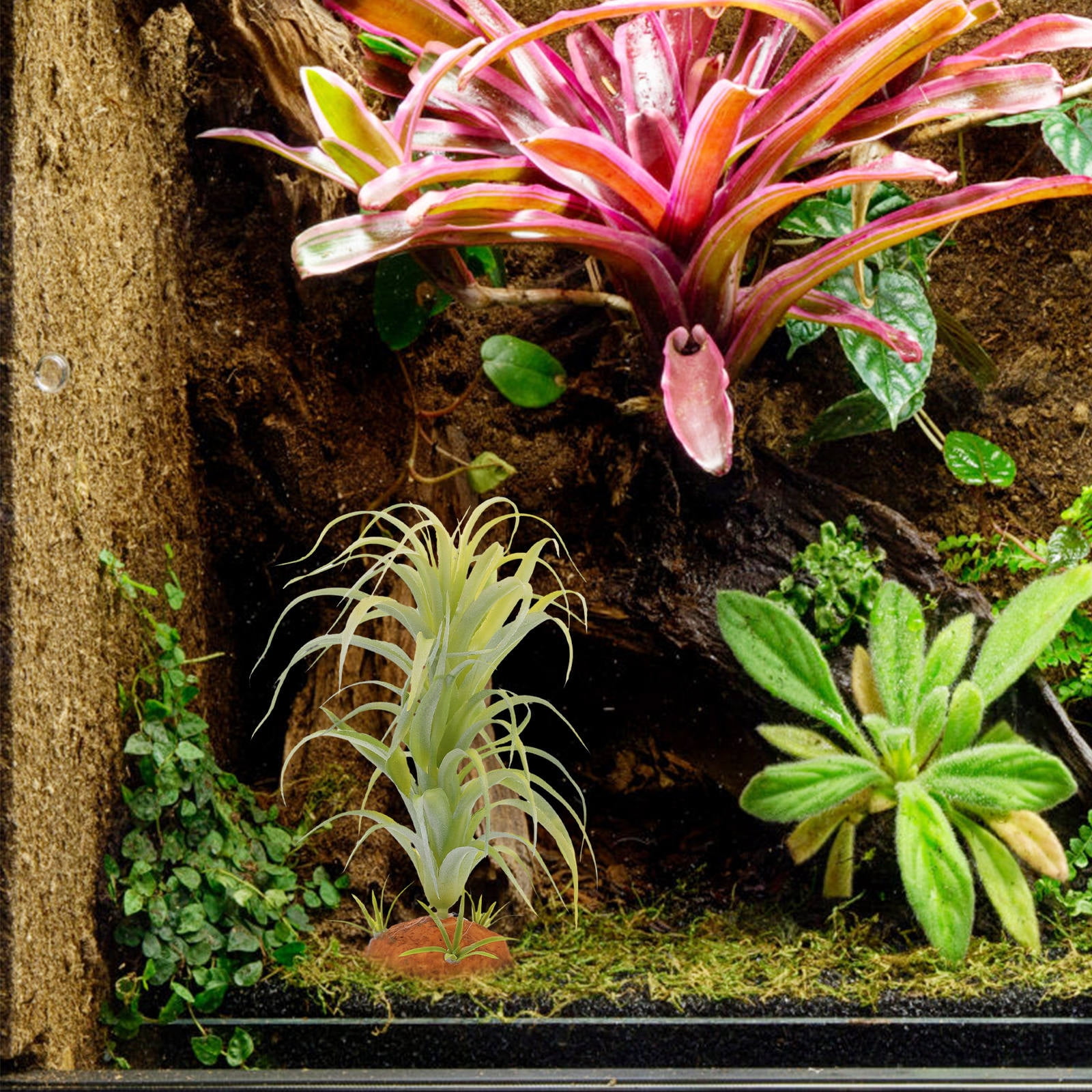 KAKOWELY 1 Set Reptile Plants Resin Plastic Hiding Places Resting Spot ...