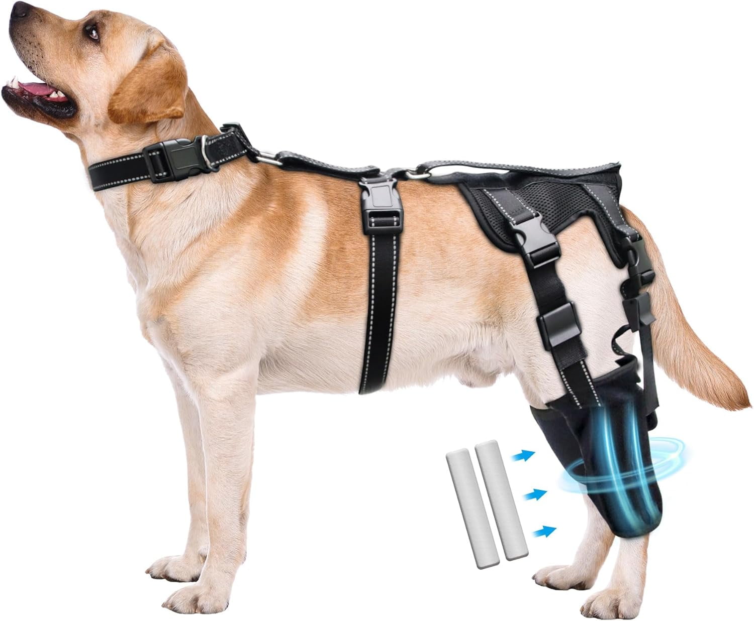 KALLODEAR Dog Knee Brace, Dog Leg Braces for Back Leg, Dog Knee Brace ...