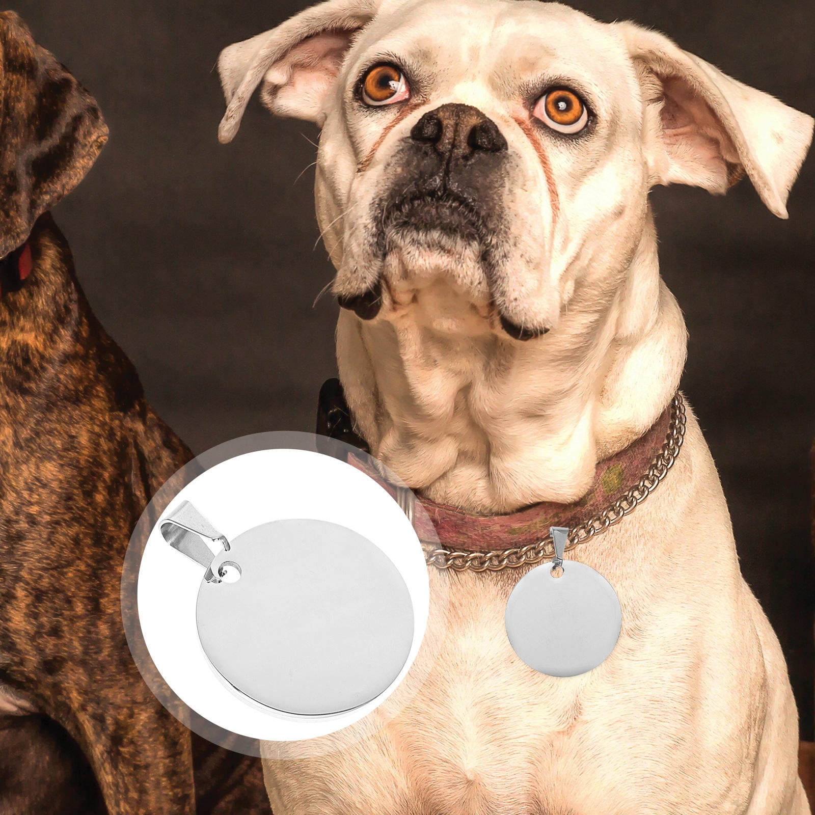 KALLORY 10Pcs Round Silver Titanium Steel Pet ID Tags Metal Blank ...