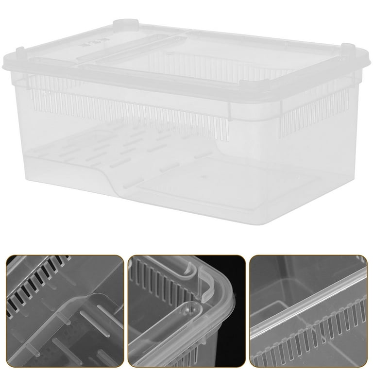 Snake Plastic Containers