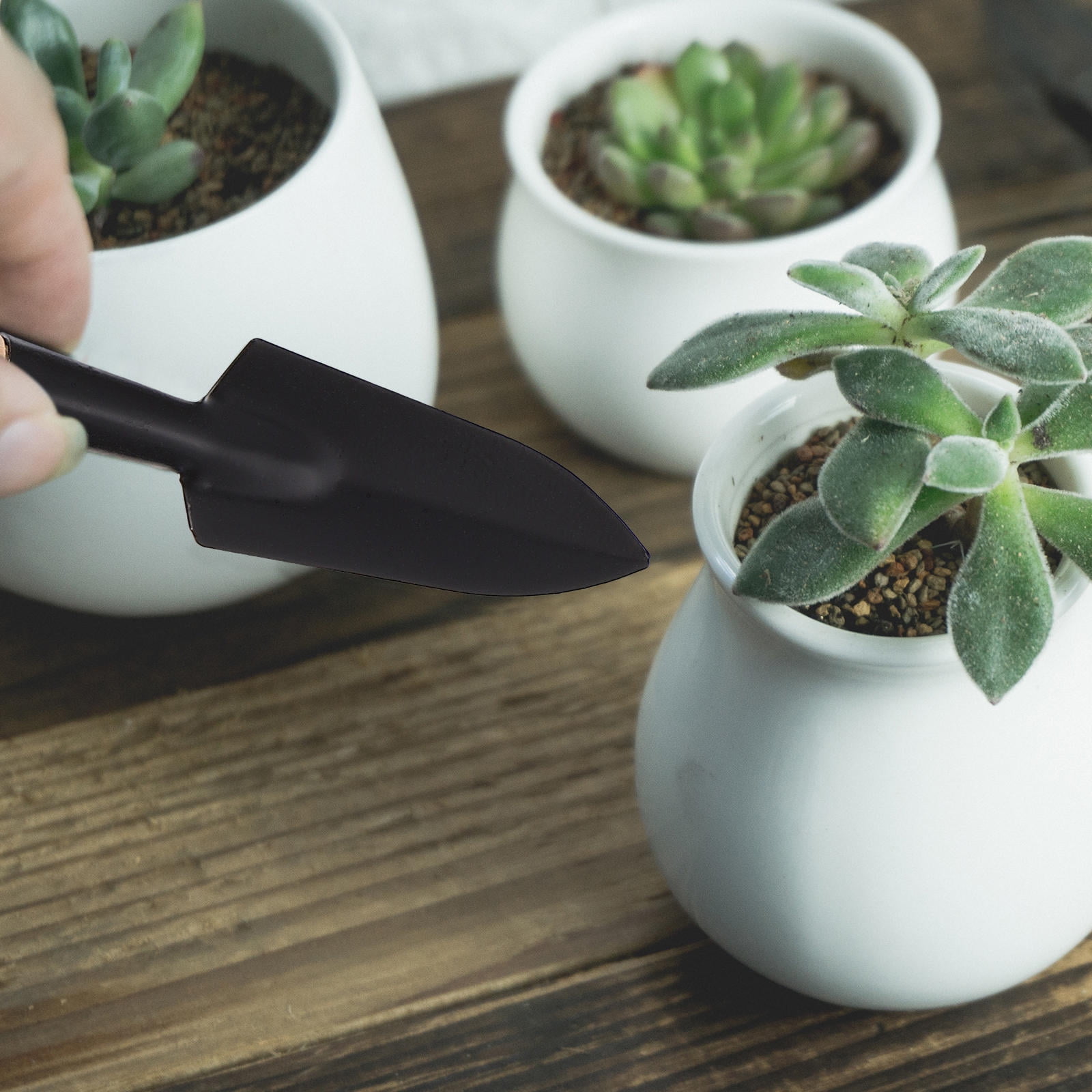 KALLORY 1Set Succulent Gardening Tools for Potted Plants and ...