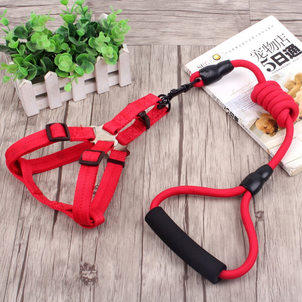 KALLORY 3Pcs Ergonomic Practical Dog Leash Set for Small Pets and ...