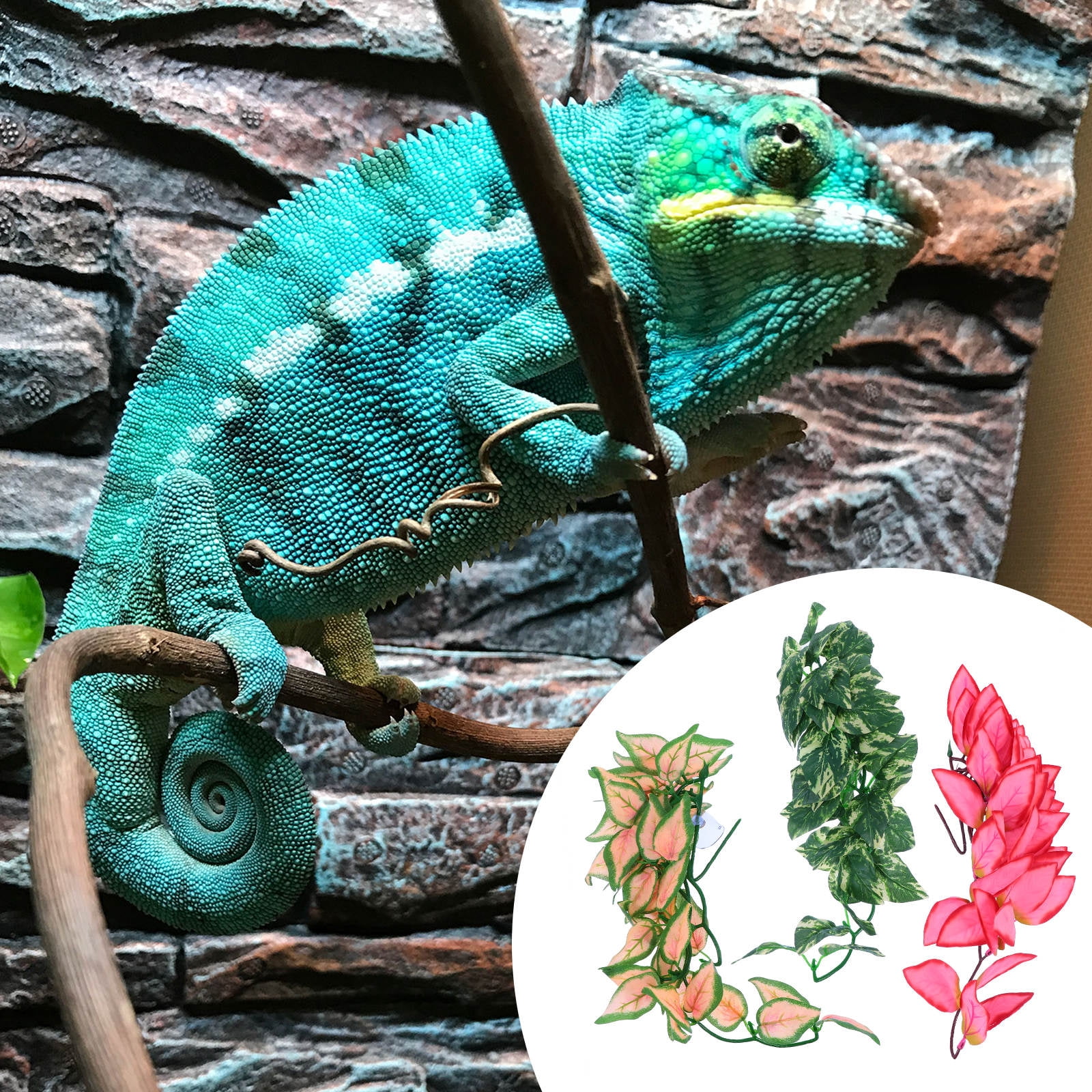 KALLORY 3Pcs Flexible Reptile Habitat Vines for Amphibians Chameleons ...