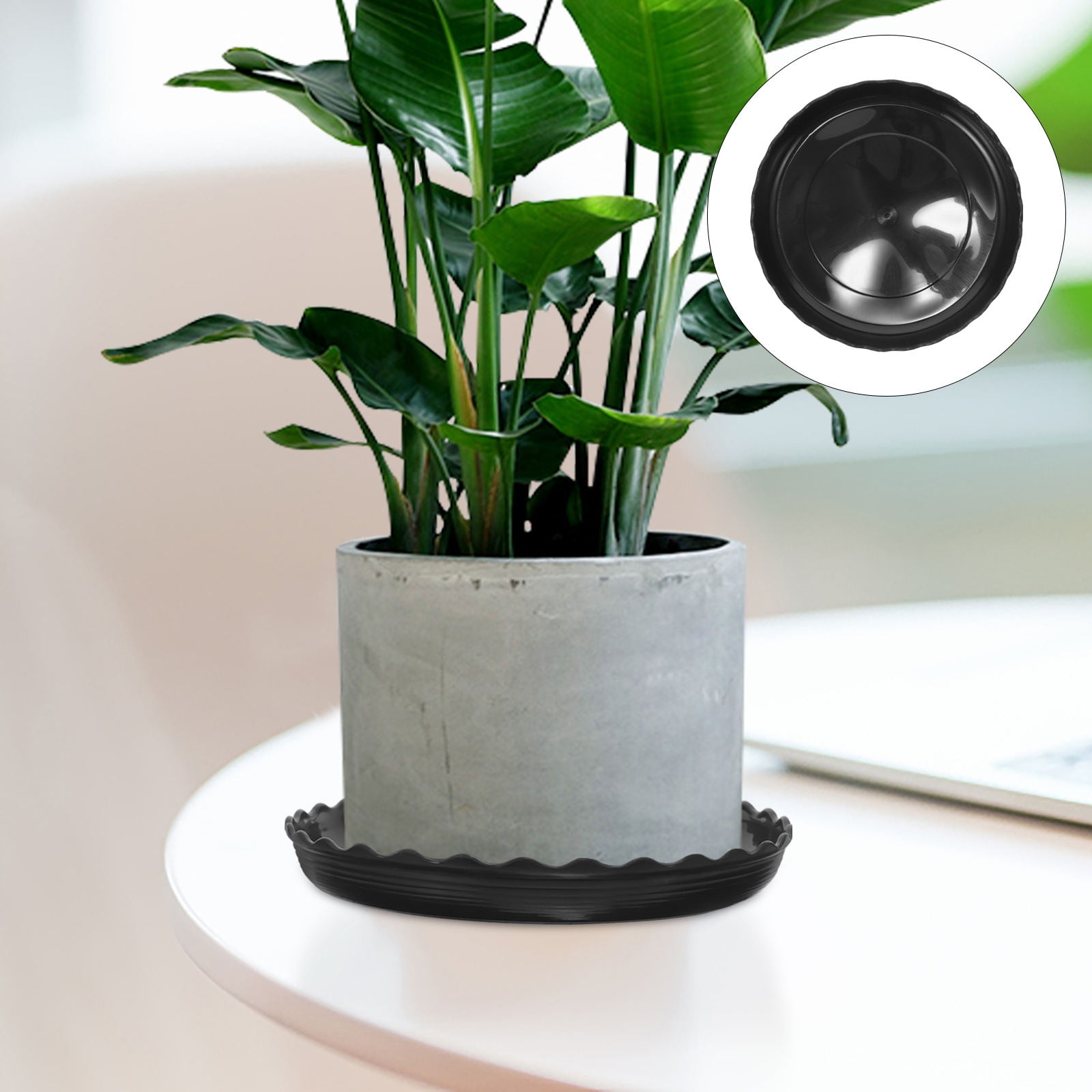 KALLORY 5Set Round Pot Drainage Tray Plastic Flower Pots Saucers for ...