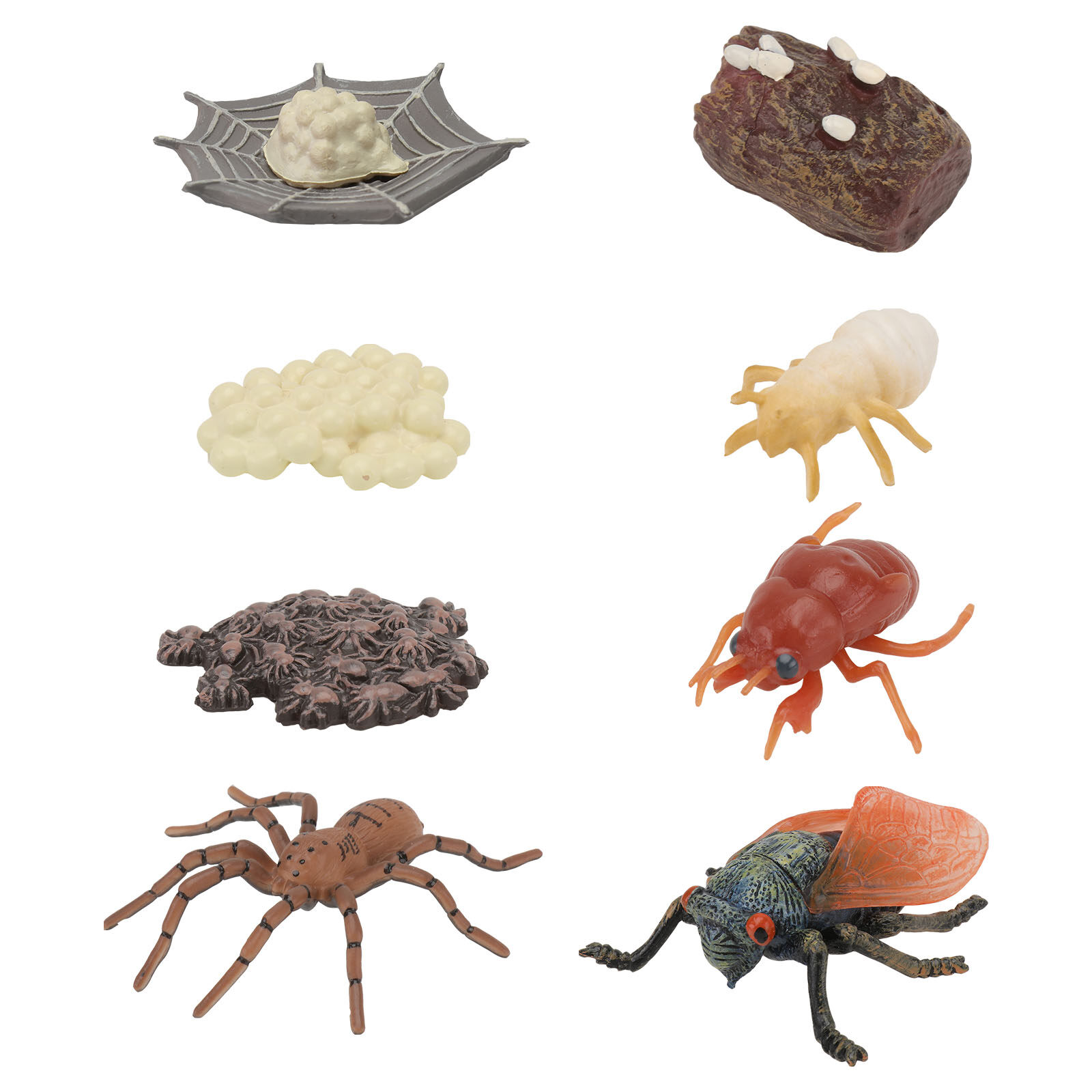 KALLORY 6Pcs Insect Models Realistic Spider Cicada Shape Plastic ...