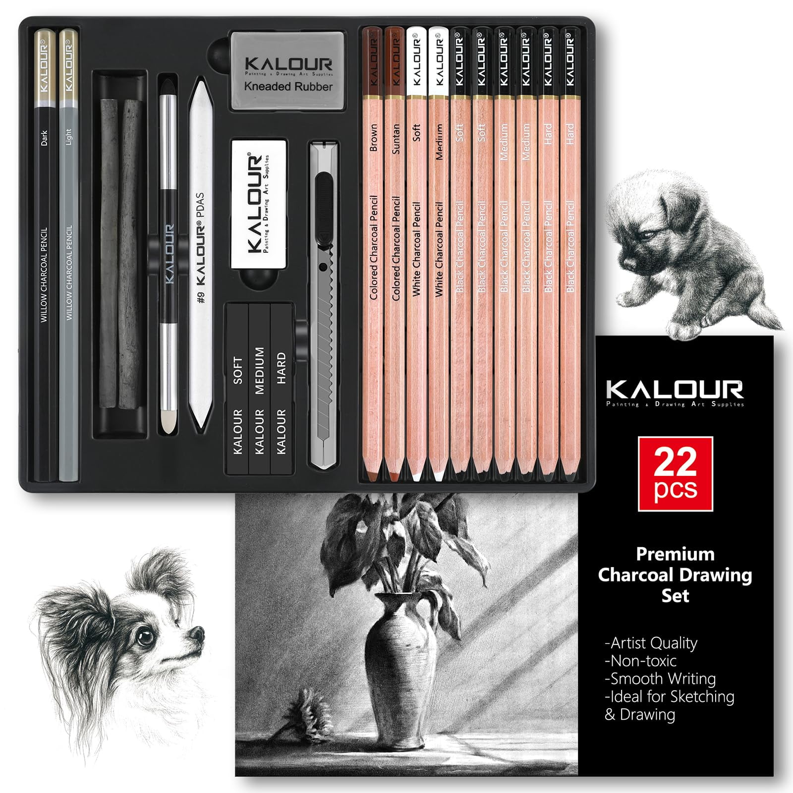 KALOUR PDAS 22pcs Charcoal Drawing Set, Professional Art Supplies ...