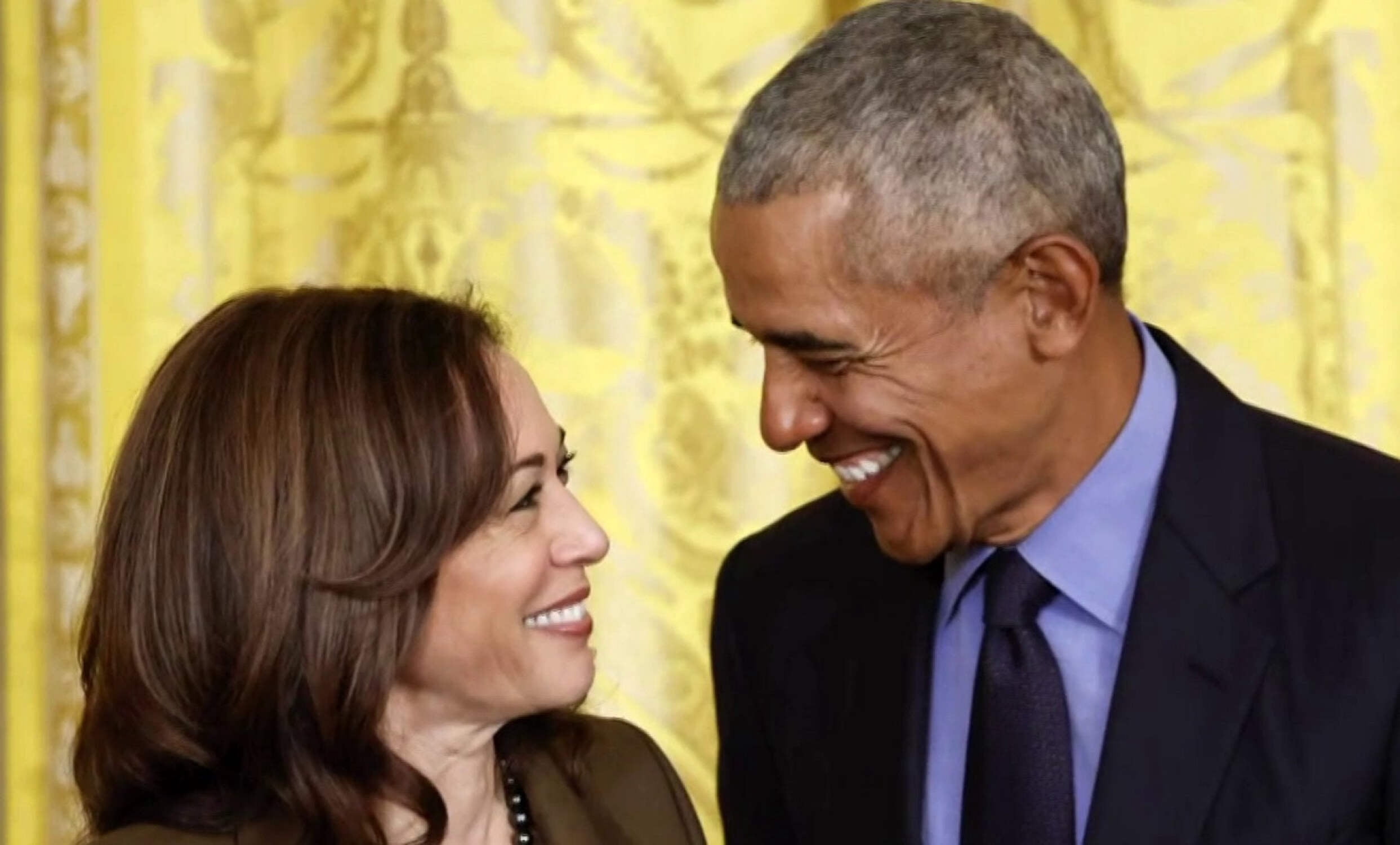 Kamala Harris Barack Obama Dem Glossy Poster Picture Photo Print Banner ...