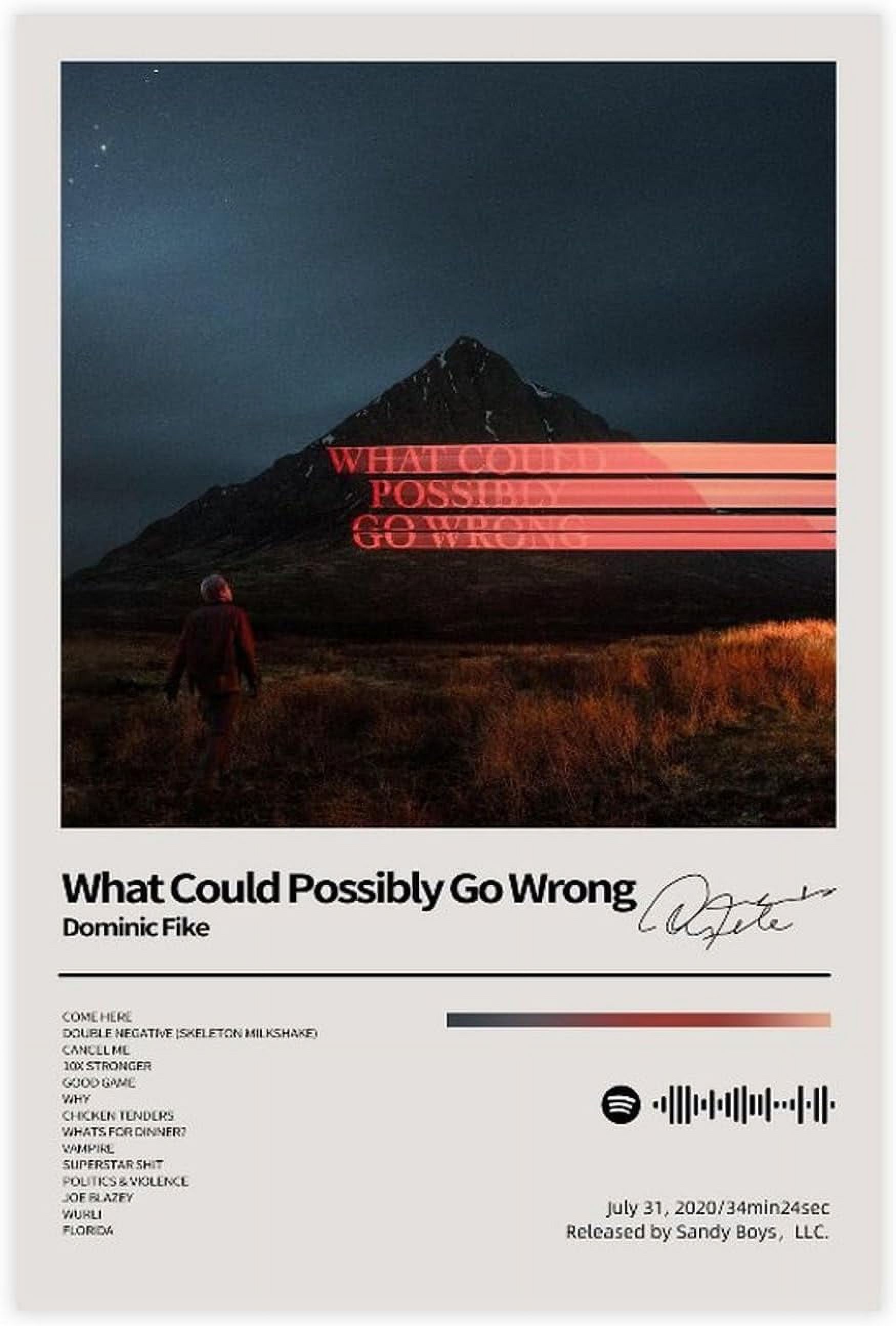KANCH Dominic Fike Poster What Could Possibly Go Wrong Album Cover ...