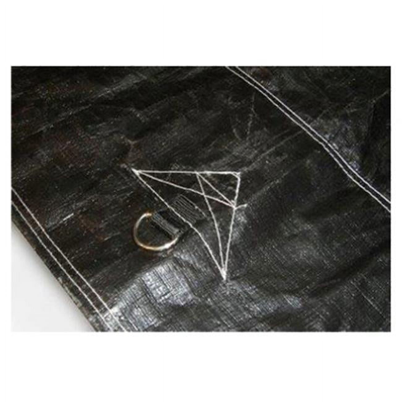 KAPS Tex 232619 12 x 20 ft. 6 oz Tru-Guard Silver & Black Truck Tarp ...