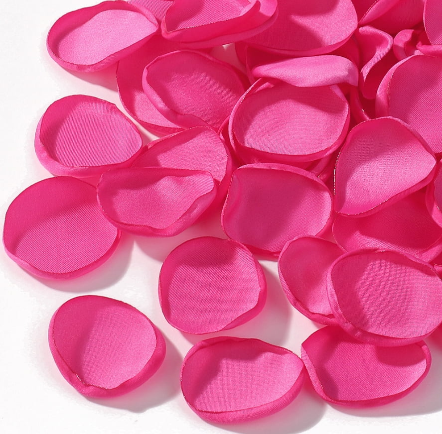 KAQ 200pcs/400pcs/600pcs Silk Rose Petals Ivory Flower Petals for ...