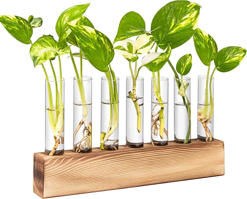 KAXYEW Plant Propagation Station, Plant Propagation Tubes, Gifts for ...