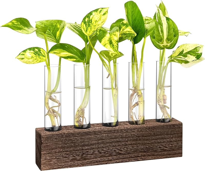 KAXYEW Plant Propagation Station, Plant Propagation Tubes, Gifts for ...