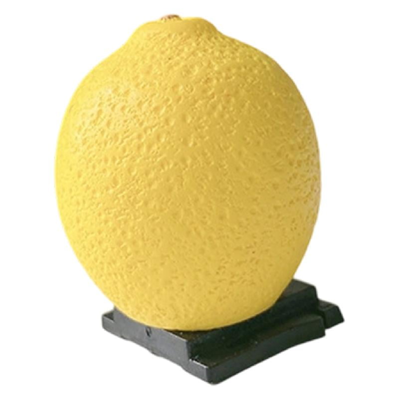 KCAHPAN Adorable Fruit Shaped DSLR Equipment Protector Hot Shoe Dust ...